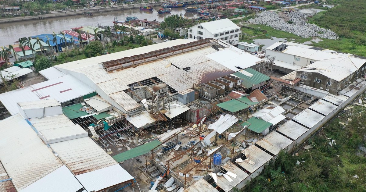 Bảo hiểm đã tạm ứng bồi thường hơn 434 tỷ đồng cho khách hàng ảnh hưởng ...