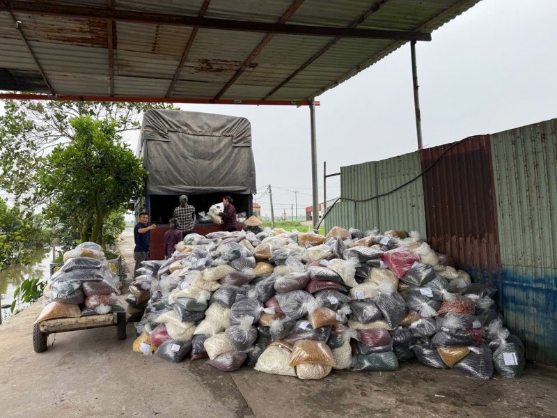 Thu giữ 115 mẫu sản phẩm bảo vệ sức khoẻ do Công ty Herbitech sản xuất ...