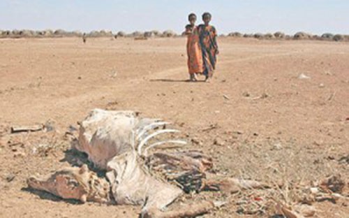 Những thảm họa thiên nhiên tồi tệ nhất mọi thời đại | Báo điện tử An ...