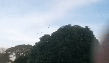 Hai máy bay quân sự Colombia va chạm, bốc cháy trên bầu trời | Báo điện ...