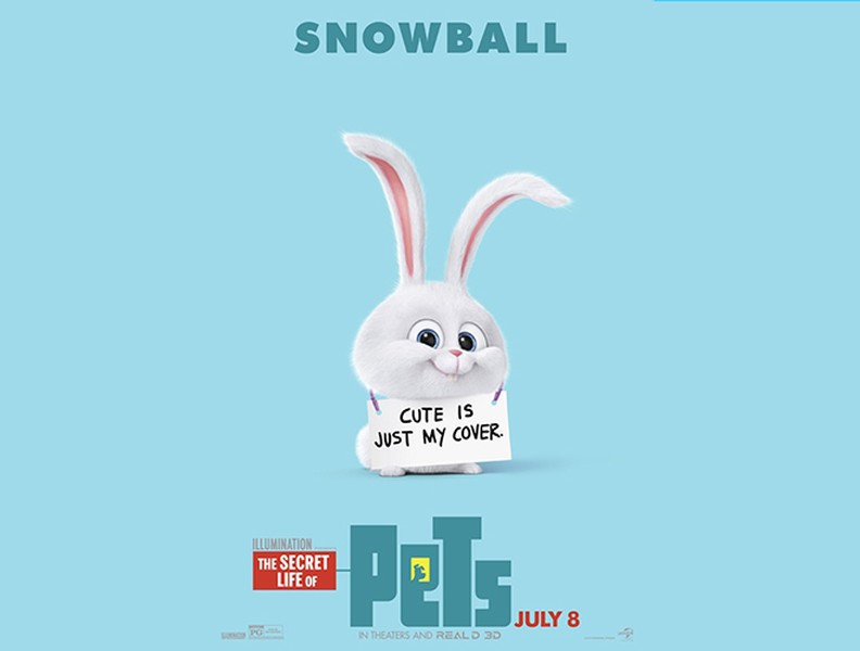 [ẢNH] Thỏ Snowball và loạt nhân vật hoạt hình gây "sốt" nhờ vẻ ngoài ...